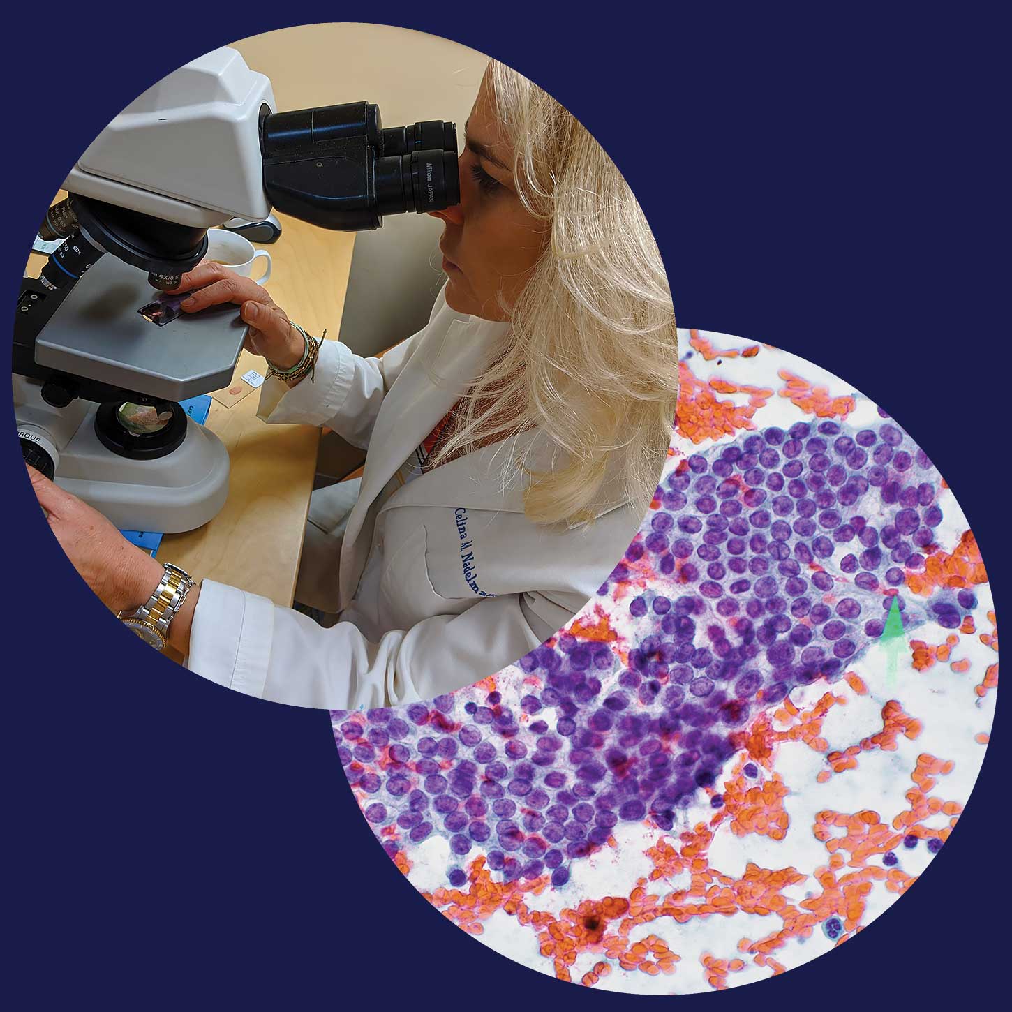 cta image – Dr. Nadelman