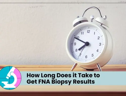Fine Needle Aspiration (FNA) Guide by Dr. Celina Nadelman